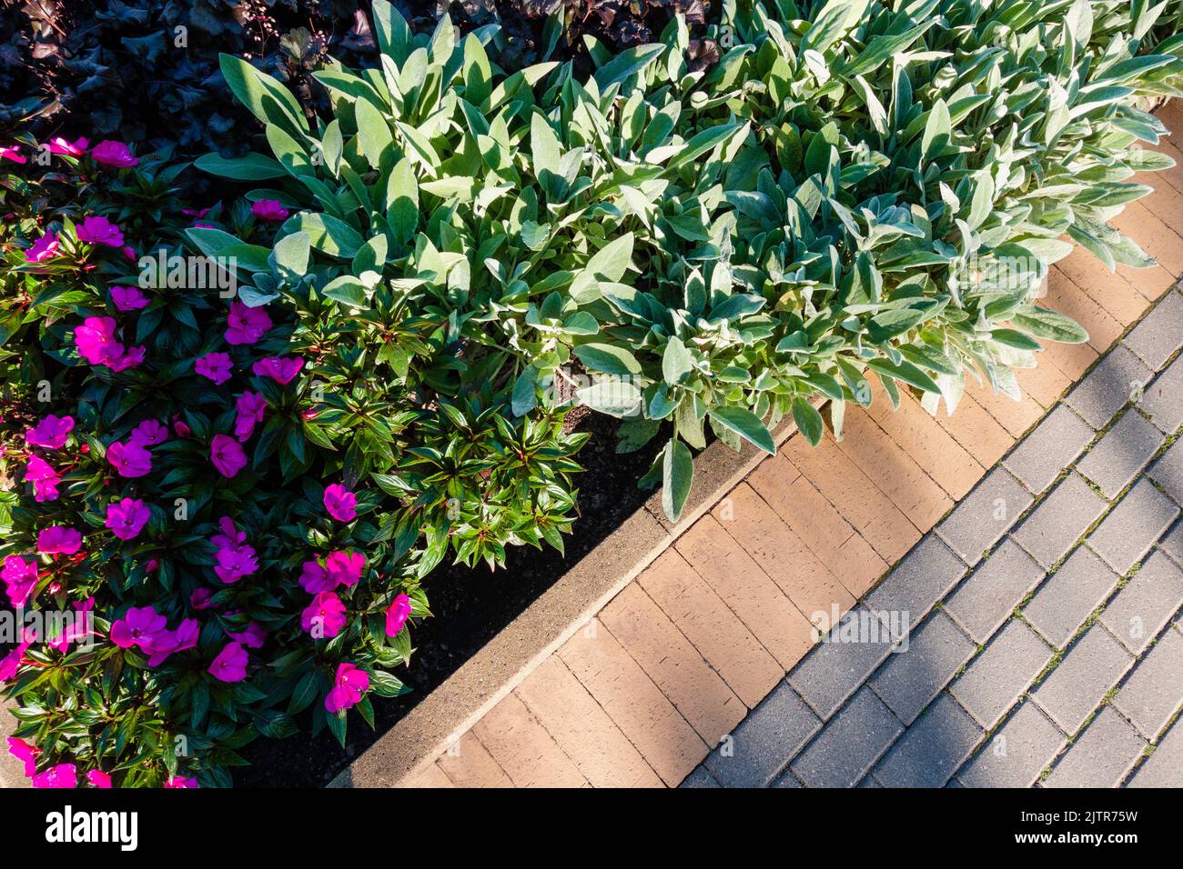 Modern design urban garden landscaping. Flower garden in high flower ...