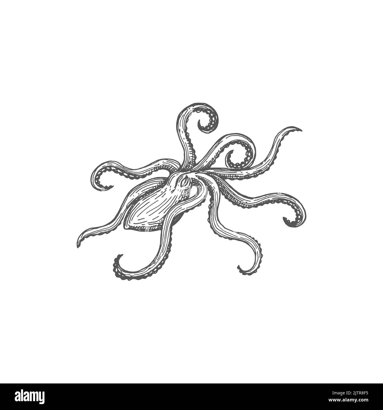 Angler Fish Tattoo Black And White