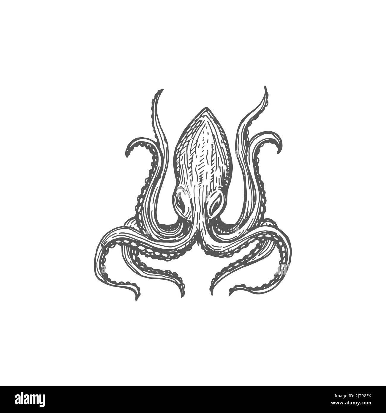 Kraken Clash Of The Titans Full Body