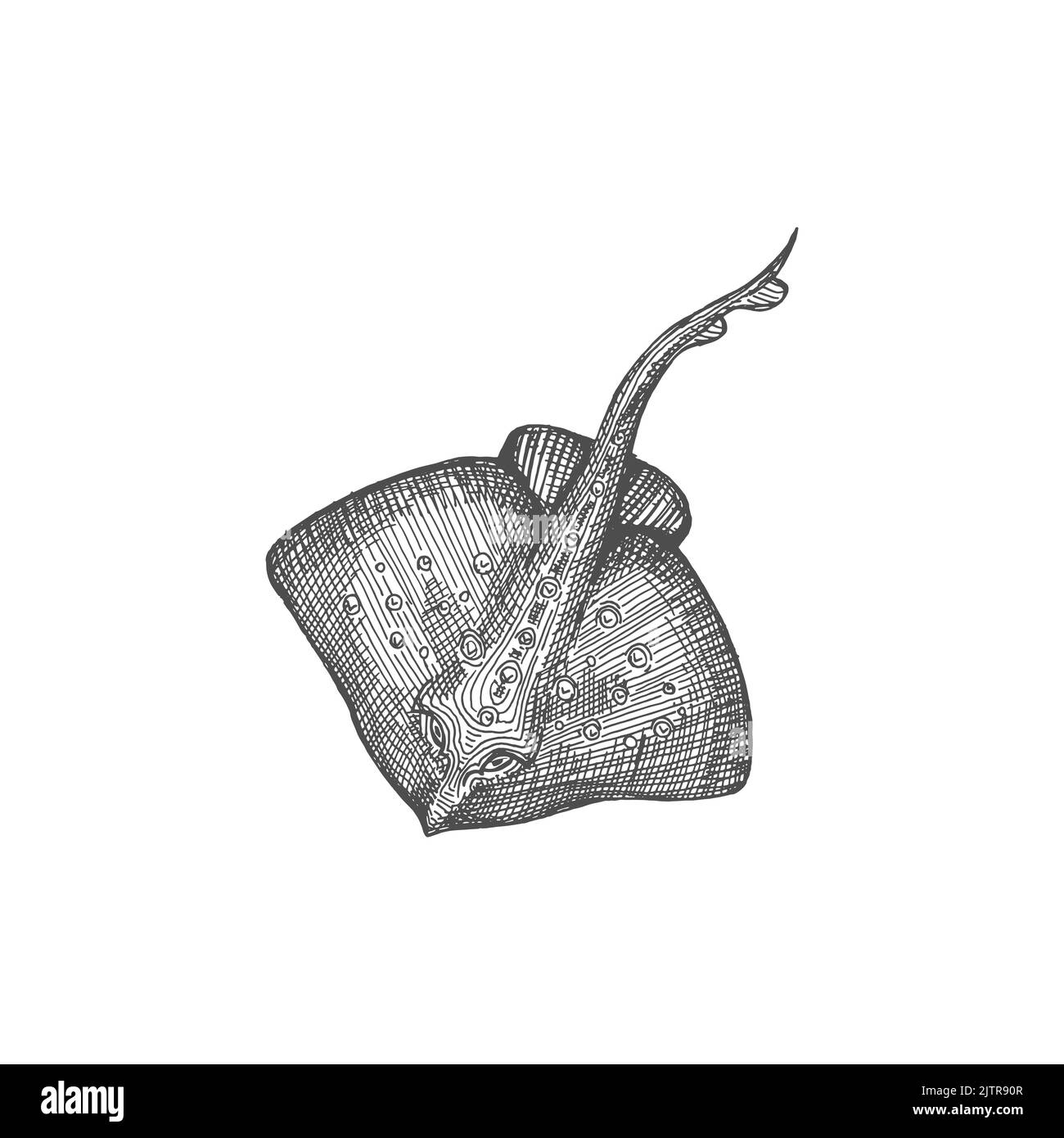 Stingray fish mascot isolated devil fish monochrome sketch icon. Vector ...