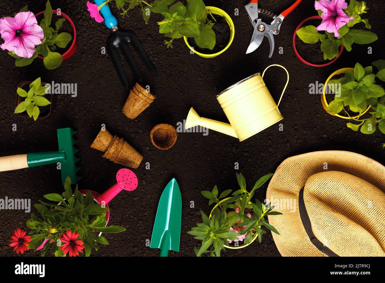 Work in the garden. Tools and flowers on the soil. Agriculture planting ...