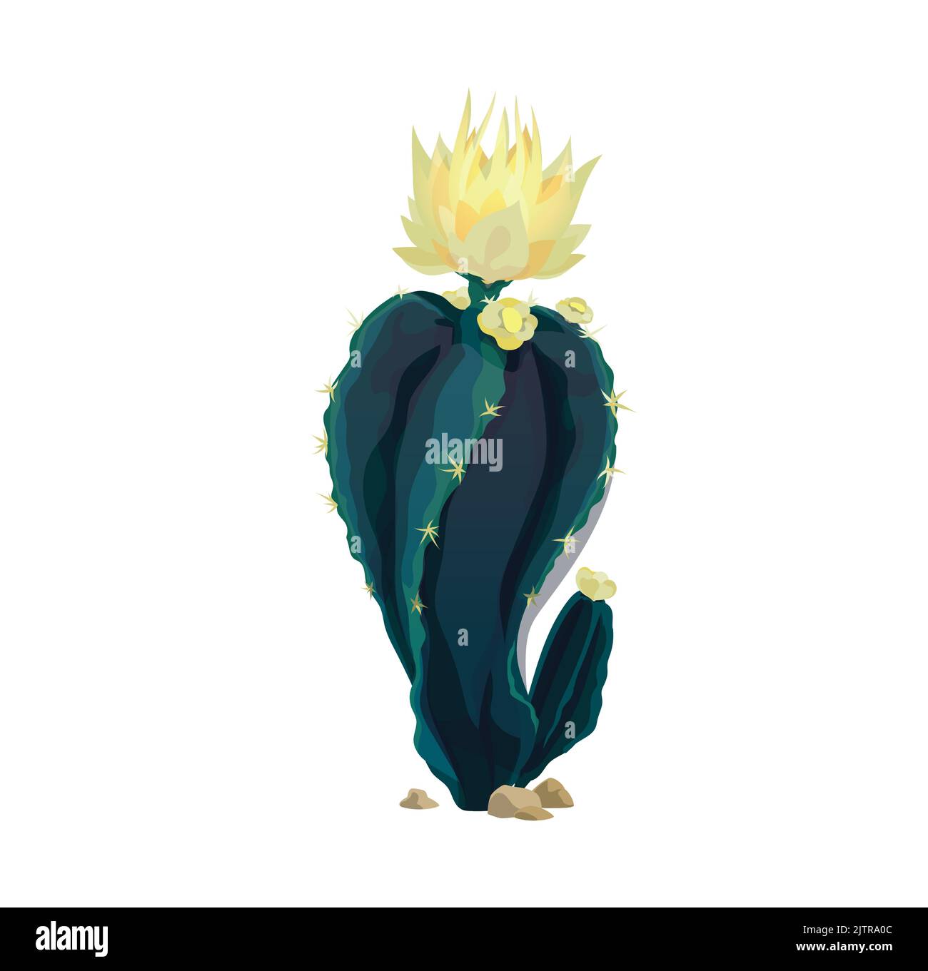 Scandinavian cactus plant with spikes and yellow blooming flower ...