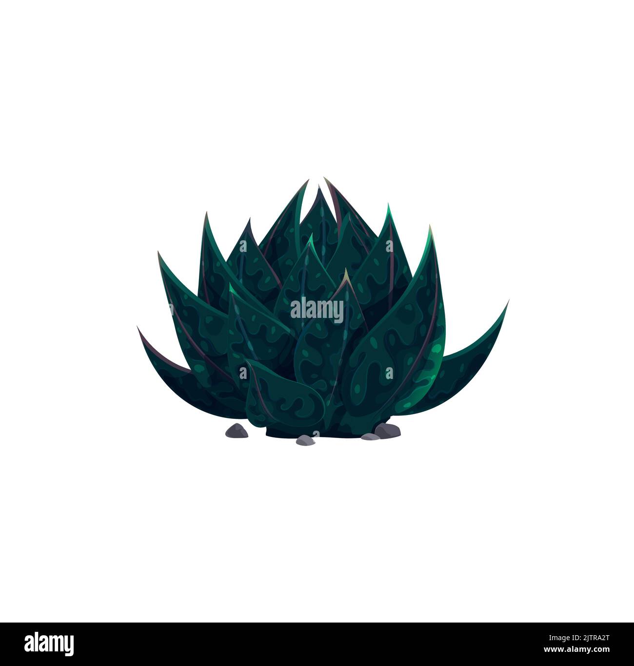 Plant pelmeri agave americana isolated cactus cartoon icon. Vector ...