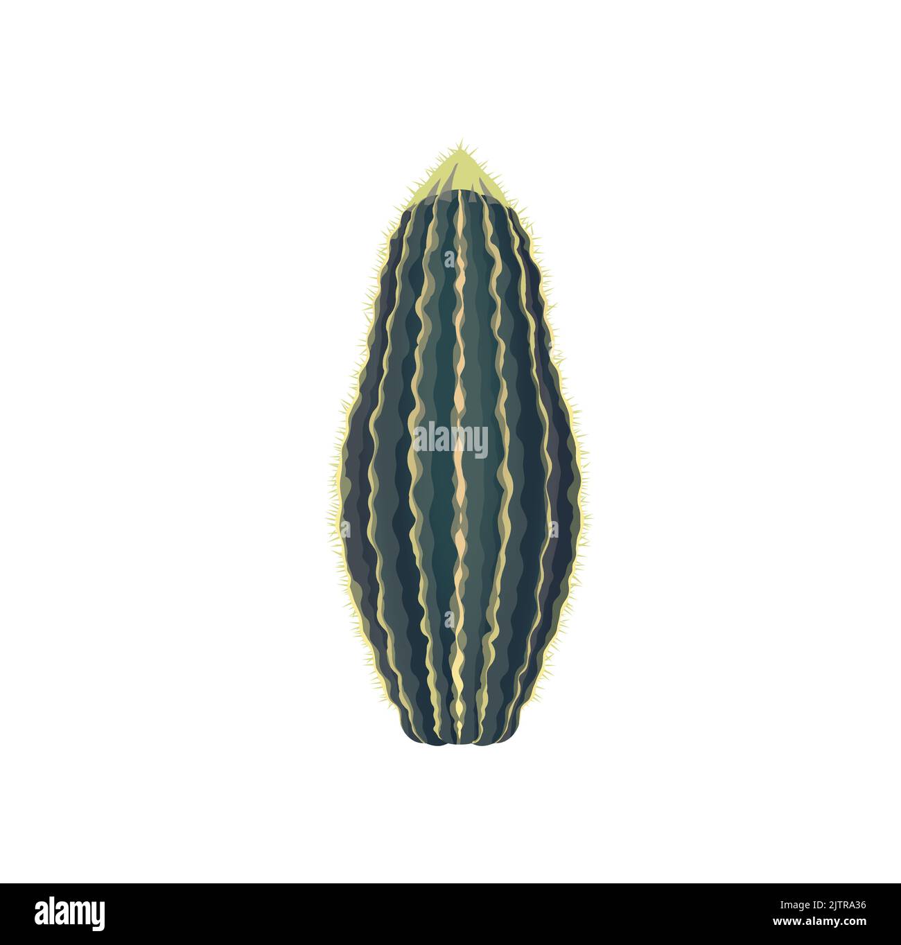 Opuntia spines Stock Vector Images - Alamy