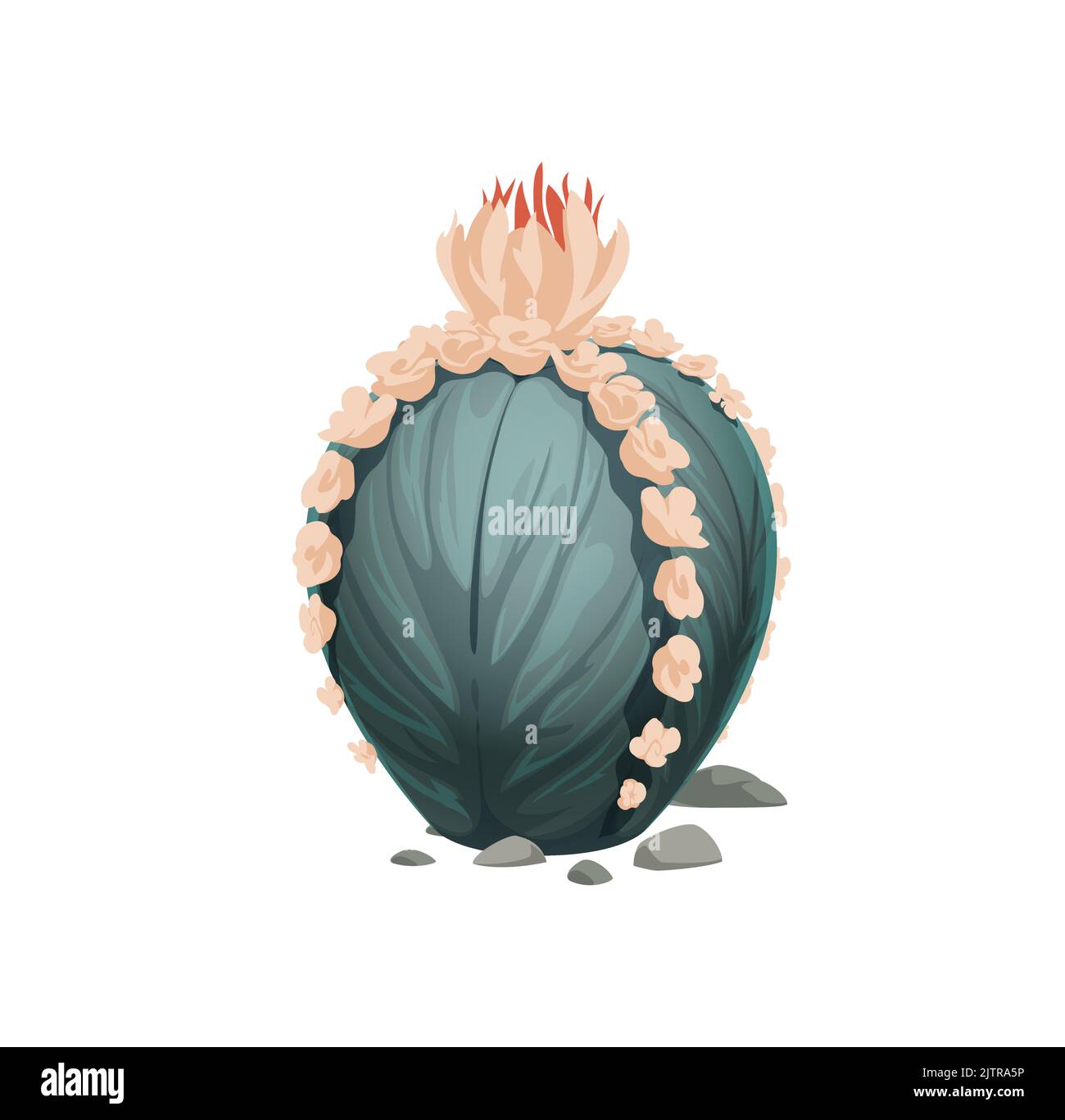Cartoon cactus with pink flower and stones isolated succulent cactus ...