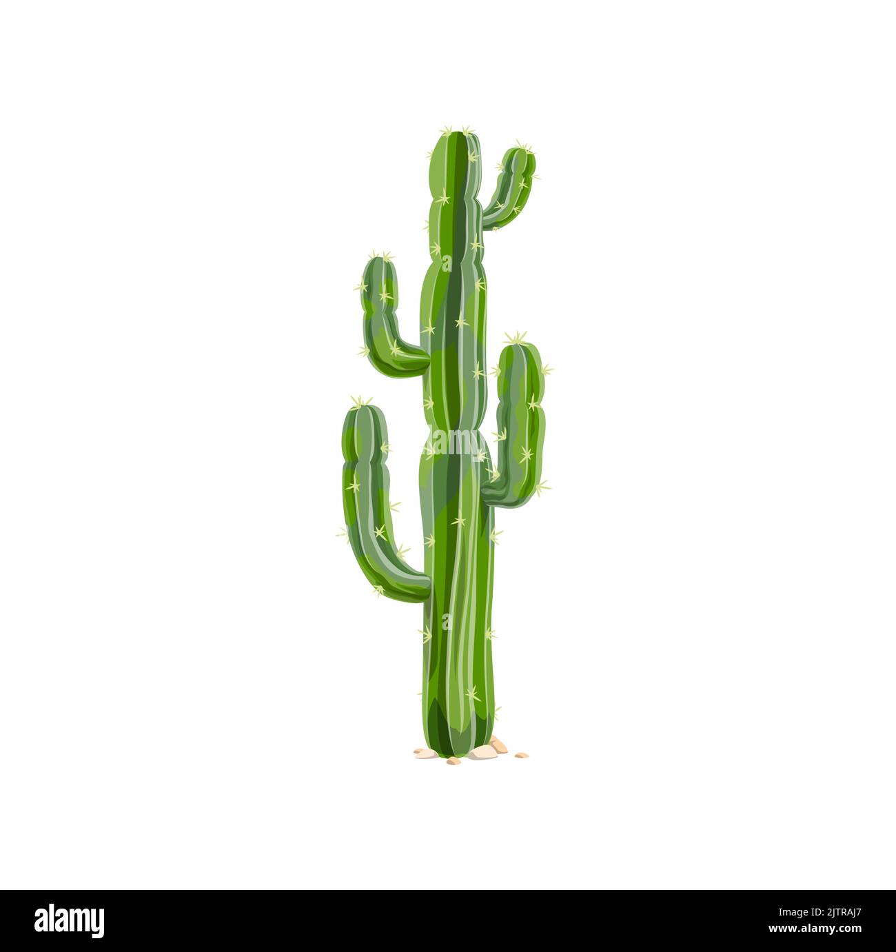 Elephant cactus, Mexican giant cardon isolated prickly cacti plant ...