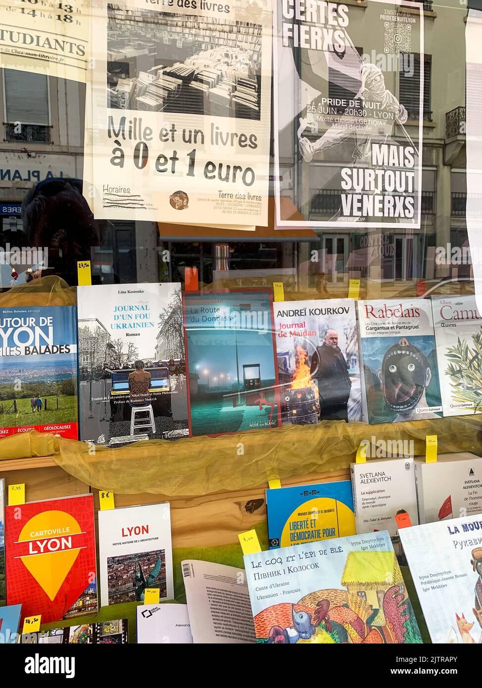 Books displayed in a bookshop window, Lyon, France Stock Photo - Alamy