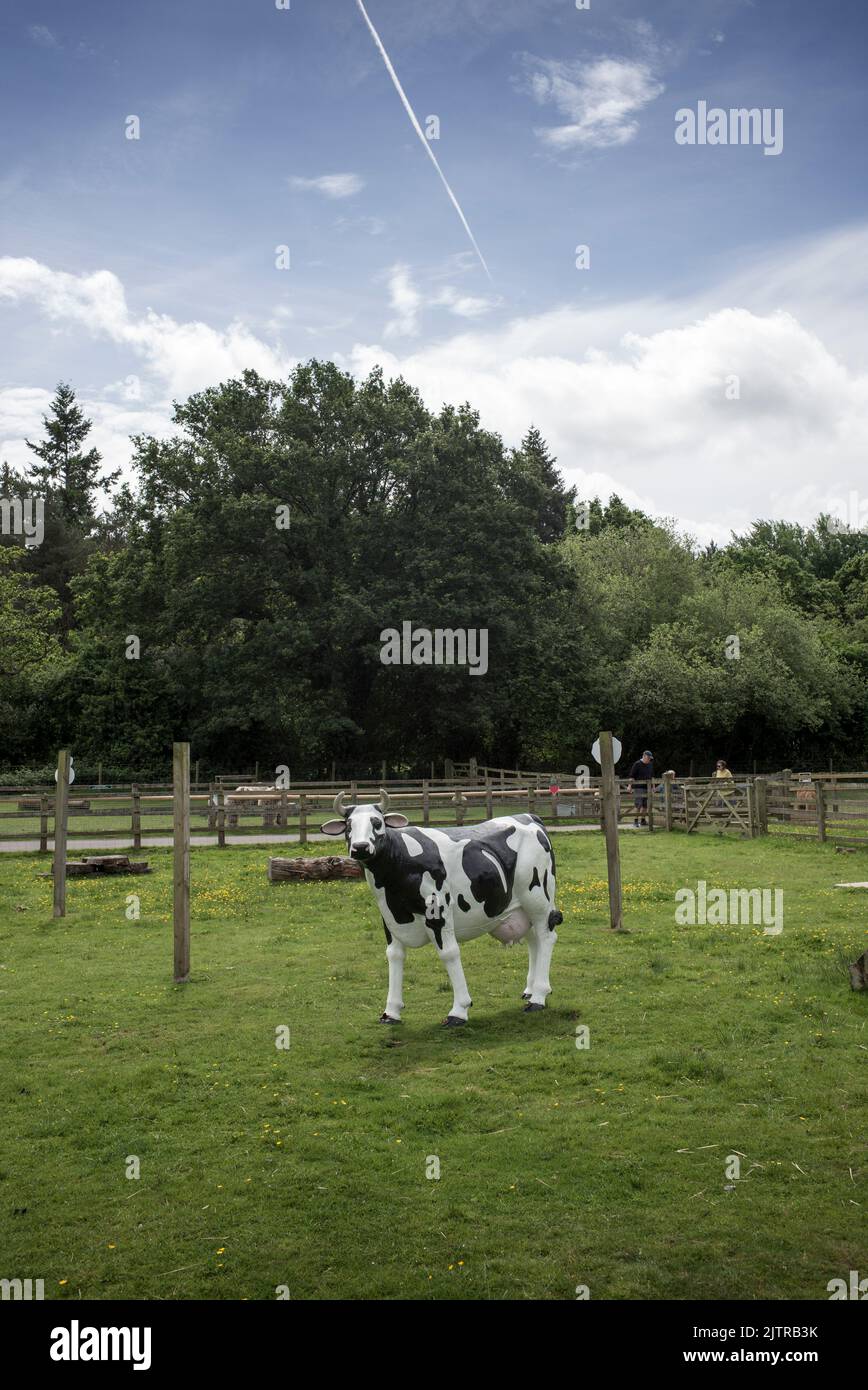 Wellington Country Park, Reading, Berkshire Stock Photo - Alamy