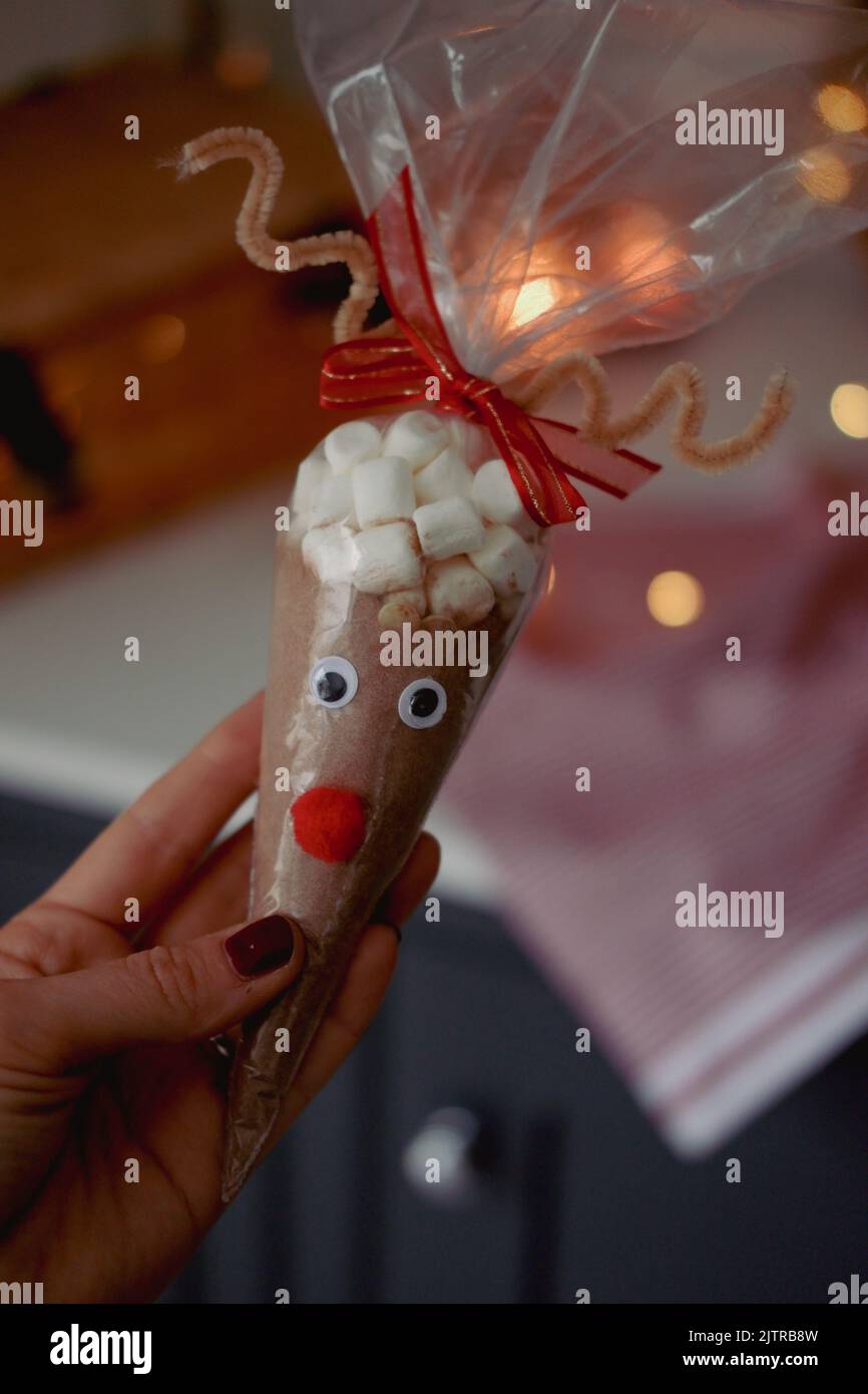 Hot chocolate reindeer cone with marshmallows for kids using a piping ...