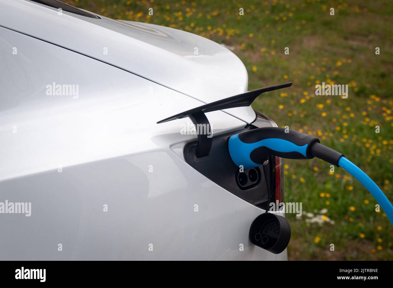 close up of electric car being charged , background with copy space ...