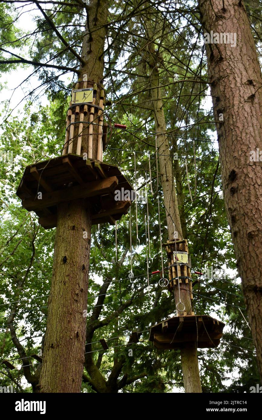 "Go Ape" Outdoor Tree Top Adventure Activity - Adult Adventure Course ...
