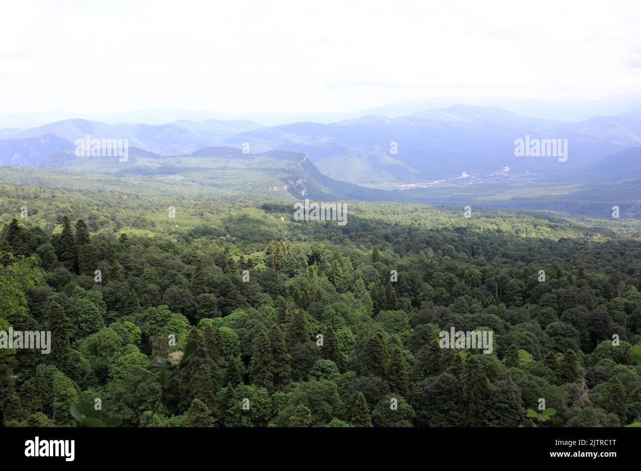 Details of Azish-Tau ridge in summer, Adygea Stock Photo - Alamy
