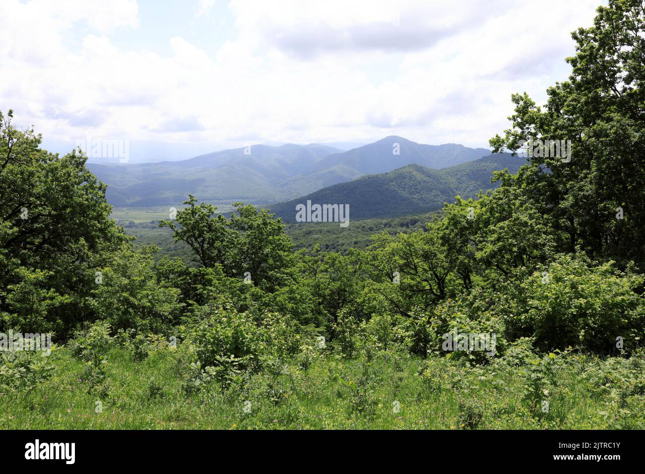 Landscape of Azish-Tau ridge in summer, Adygea Stock Photo - Alamy