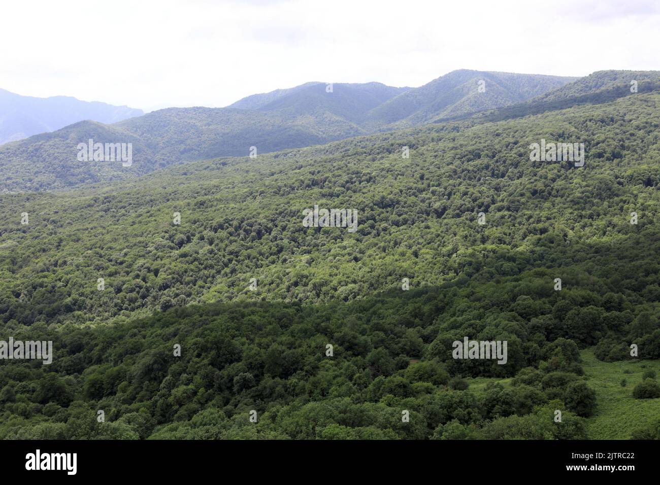 Azish tau hi-res stock photography and images - Alamy