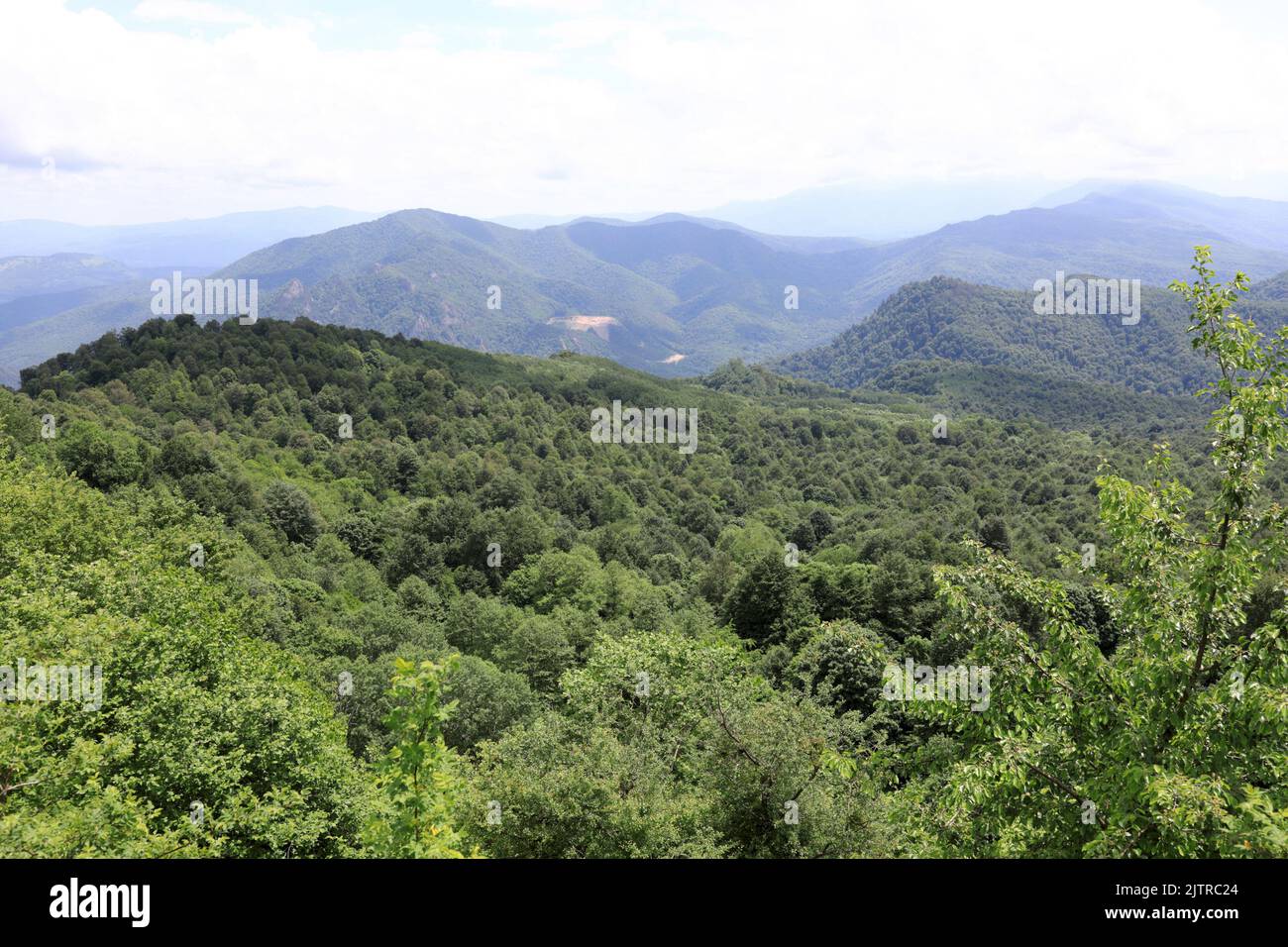 Azish tau hi-res stock photography and images - Alamy