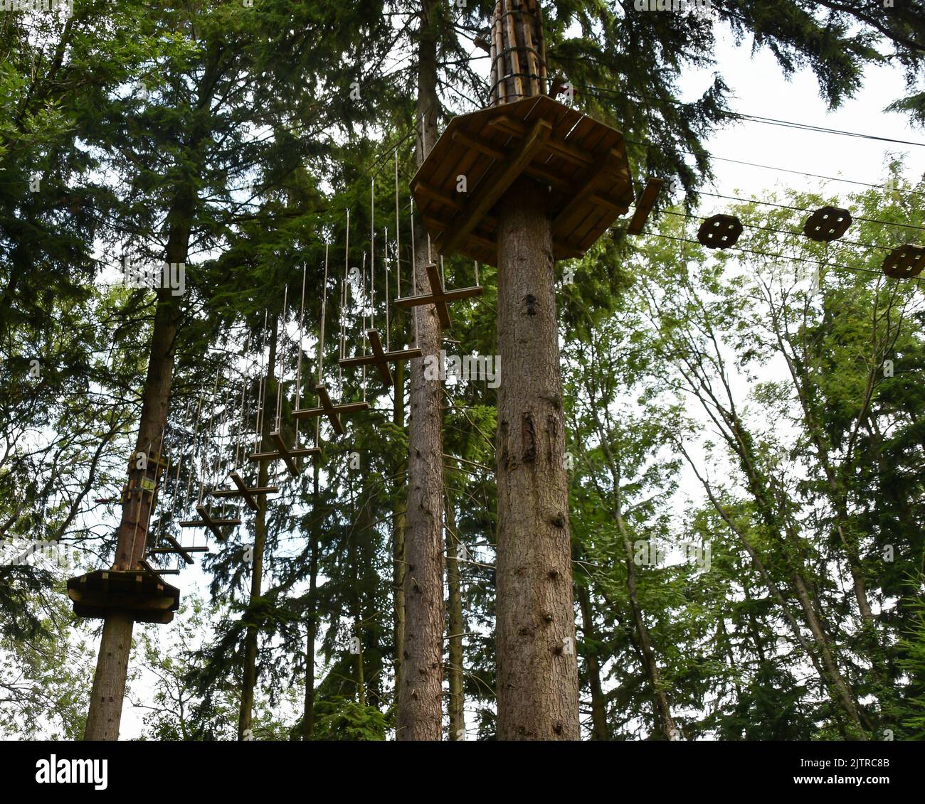 Go ape tree top hi-res stock photography and images - Alamy