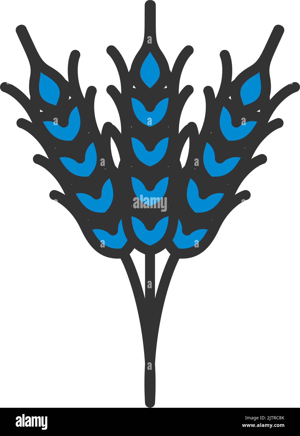 Wheat Icon. Editable Bold Outline With Color Fill Design. Vector ...