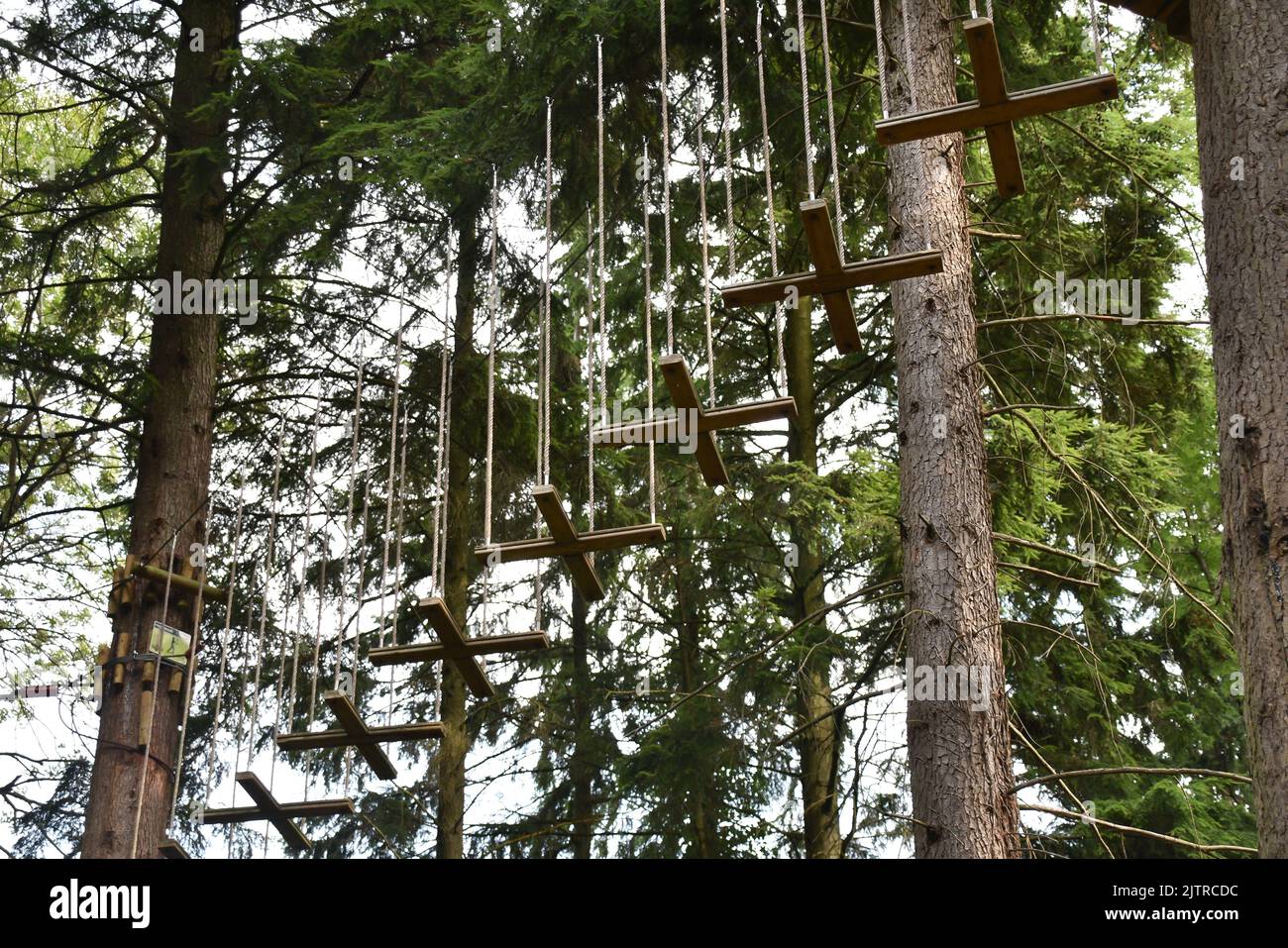 "Go Ape" Outdoor Tree Top Adventure Activity - Adult Adventure Course ...