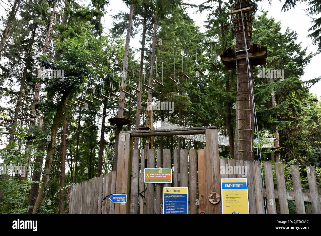 "Go Ape" Outdoor Tree Top Adventure Activity - Adult Adventure Course ...