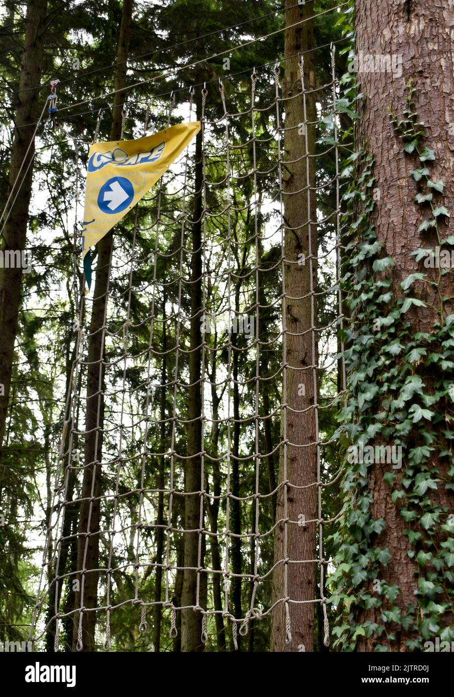 "Go Ape" Outdoor Tree Top Adventure Activity - Adult Adventure Course ...