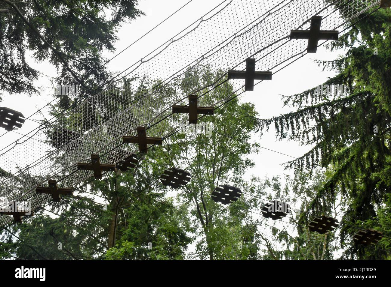 "Go Ape" Outdoor Tree Top Adventure Activity - Adult Adventure Course ...