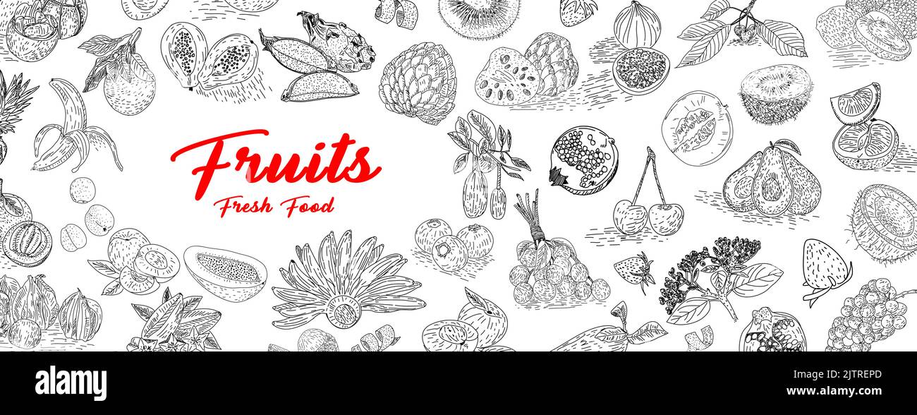 Fruit collection in flat hand drawn style, illustrations set. Design ...
