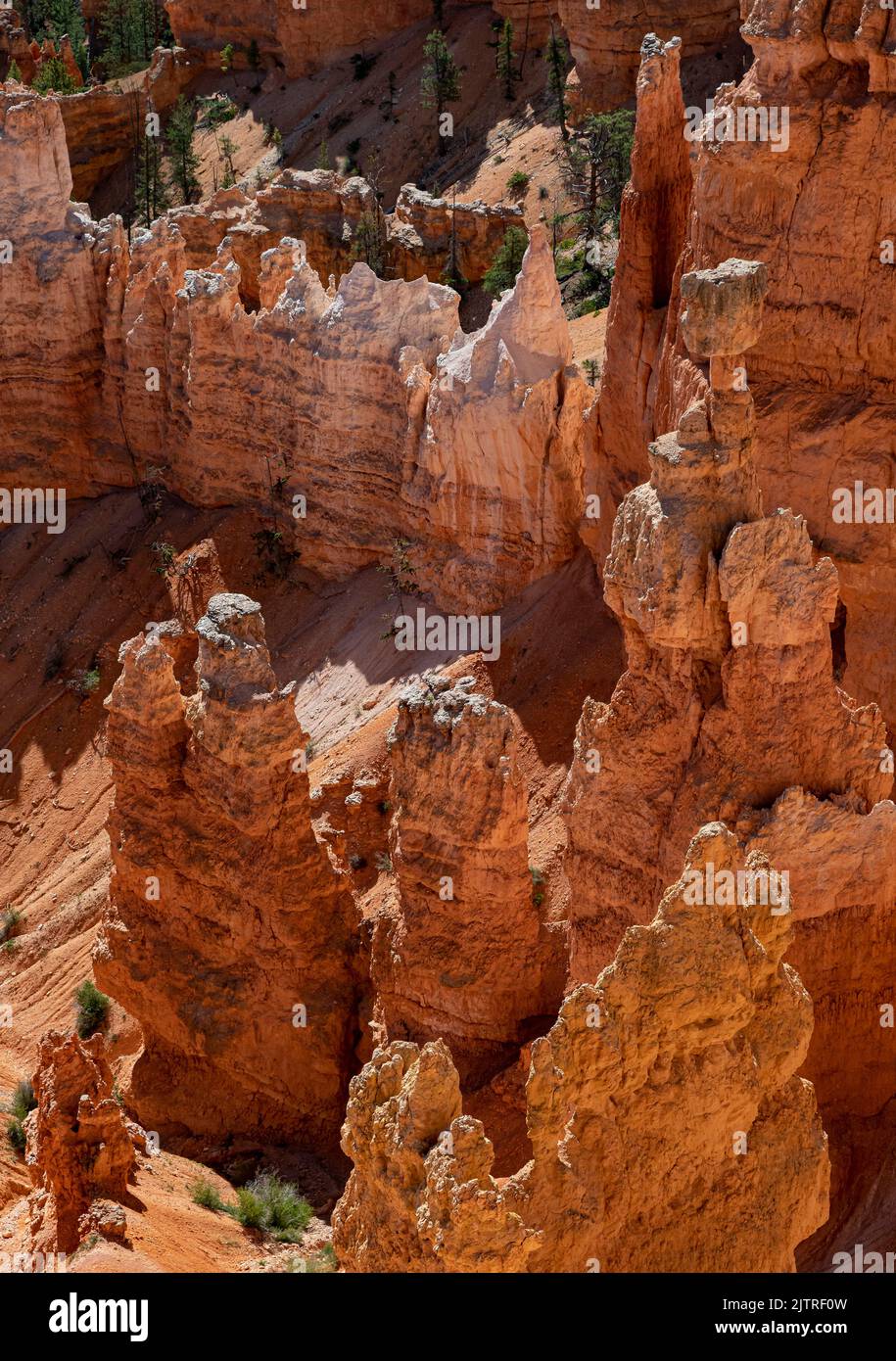 Hoodoos are what the spectacular stone columns are called at Bryce ...