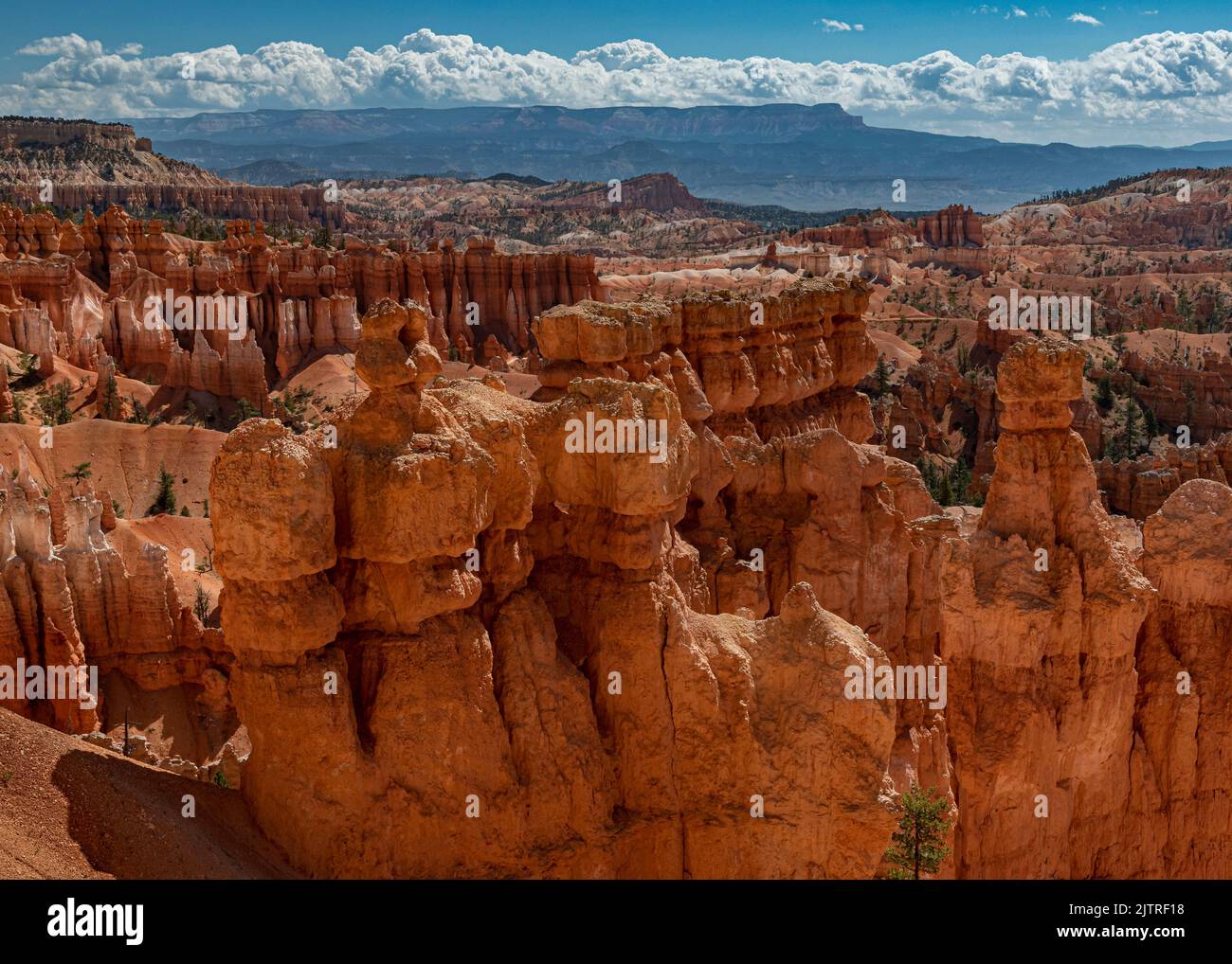 Rock Columns Called Hoodoos Fill The Landscape At Bryce Canyon National Park Garfield County 