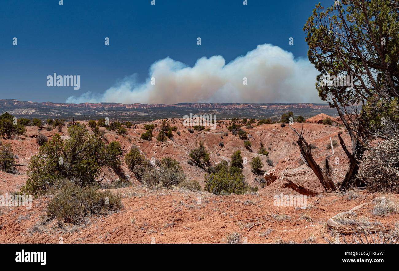 A forest fire to the southwest of Kodachrome Basin State Park in ...