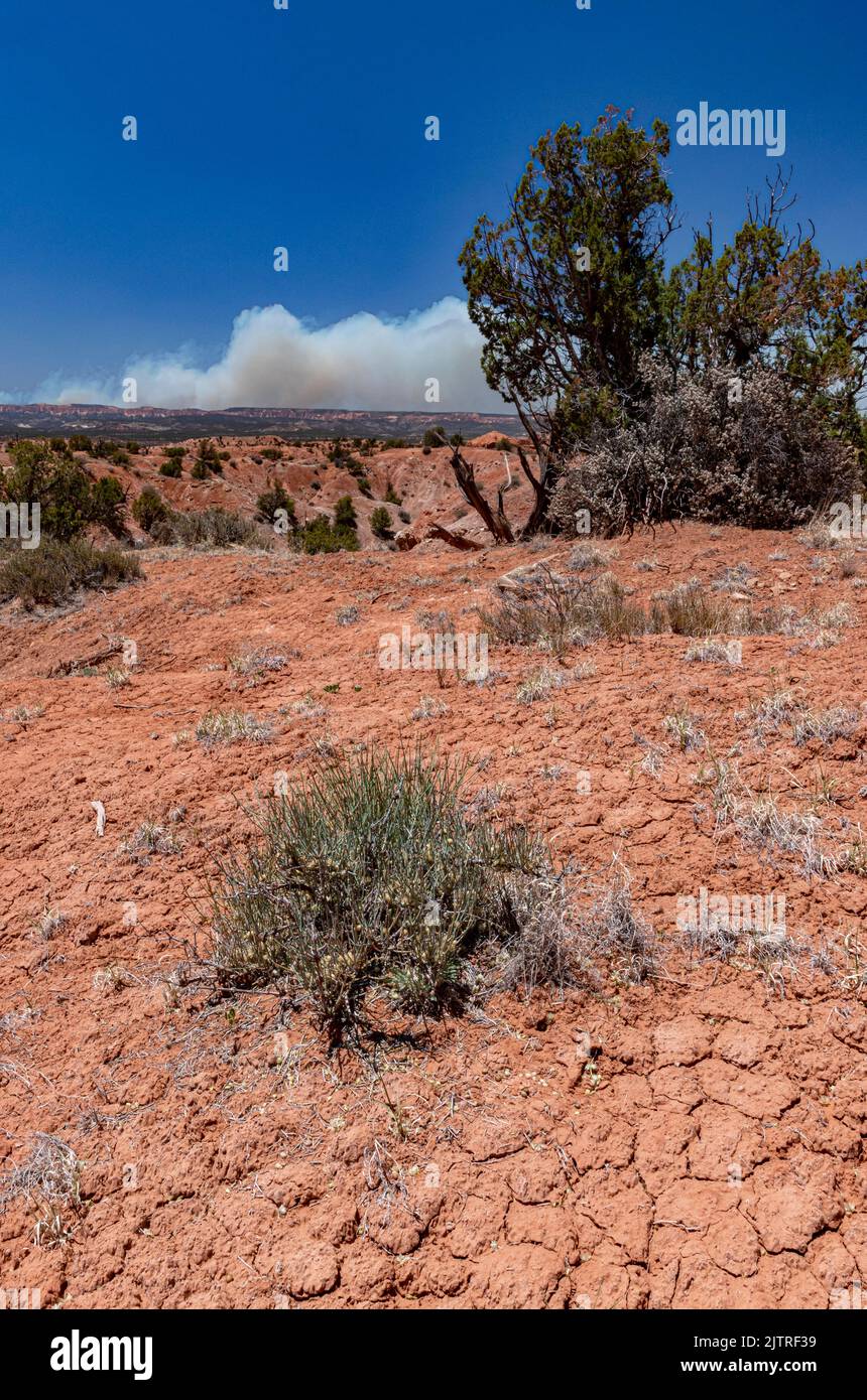 Clouds of smoke from a distant wildfire smoke clouds the otherwise ...