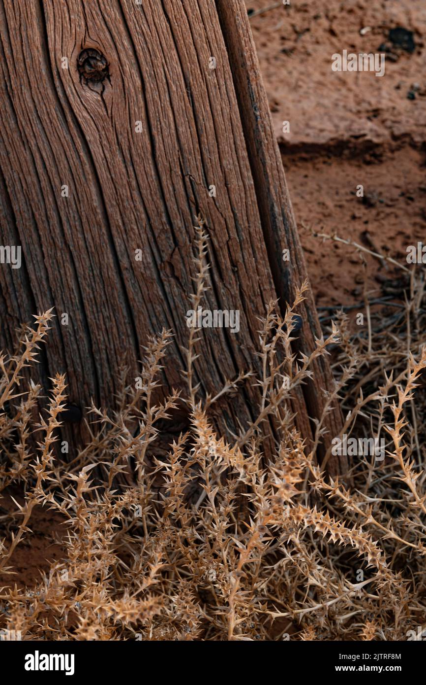 A fence post is contrasted by brush at an old ranch area, Capitol Reef ...