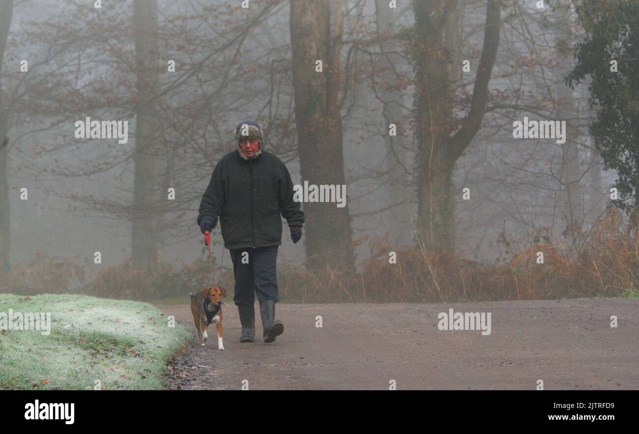 AN EARLY MORNING WALK THROUGH THE FOG AT DENMEAD, HANTS MIKE WALKER ...