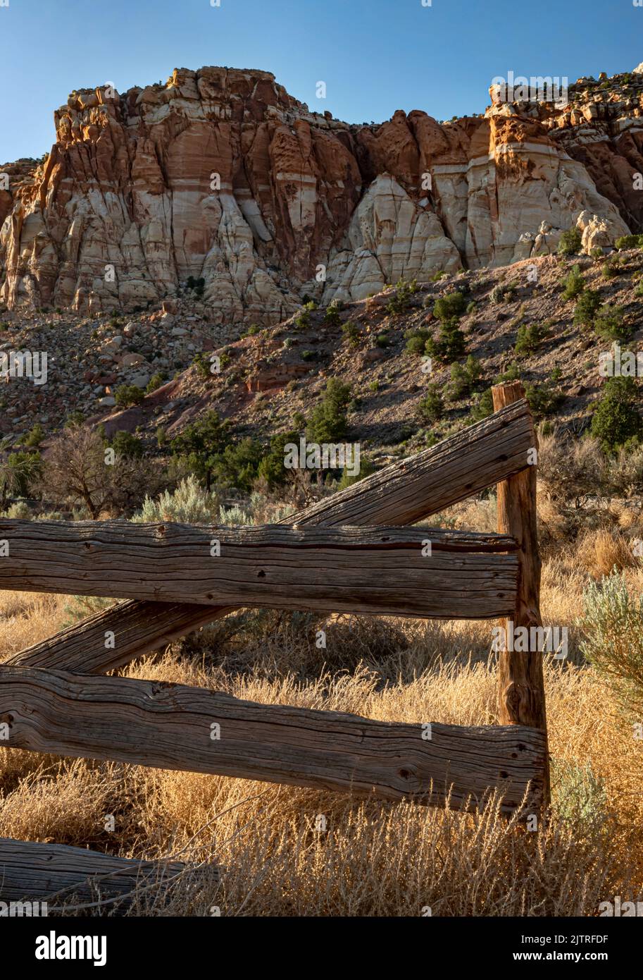 An old gate at an abandoned ranch seems to protect a lost coral along ...