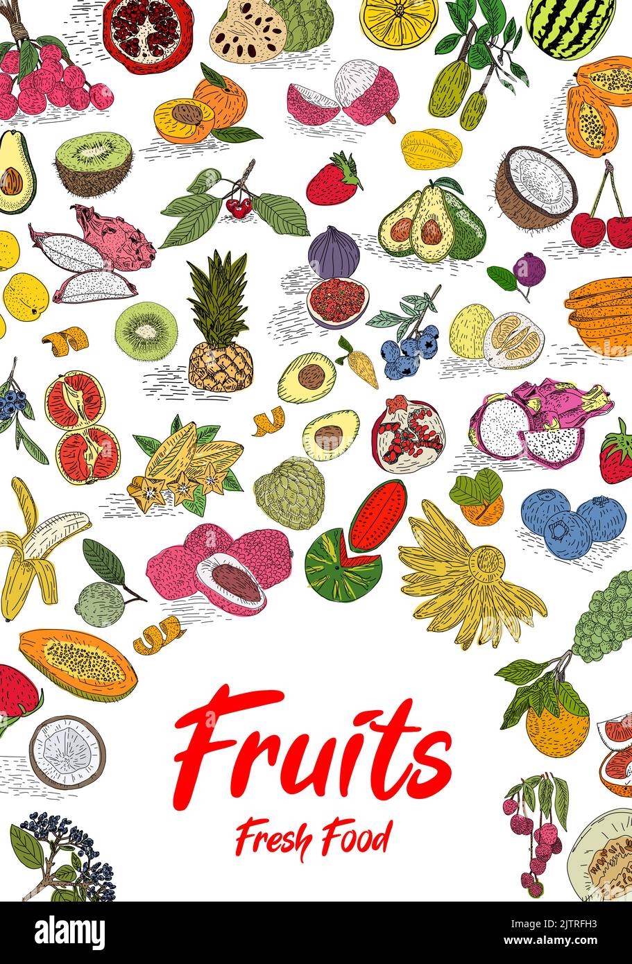 Fruit collection in flat hand drawn style, decorative retro style ...