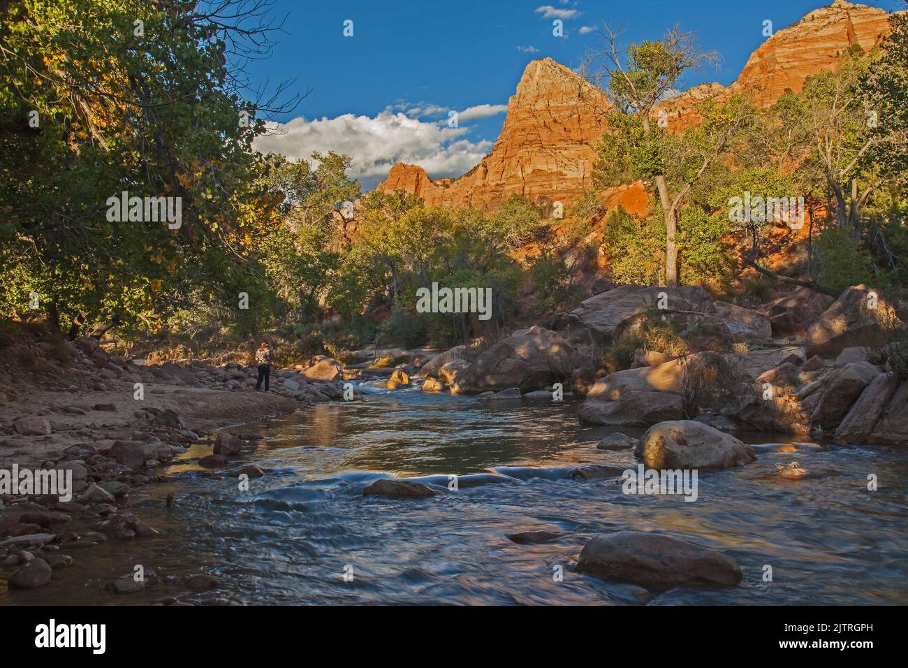 The Virgin River from Zion Canyon Campground. Springdale Utah Stock ...