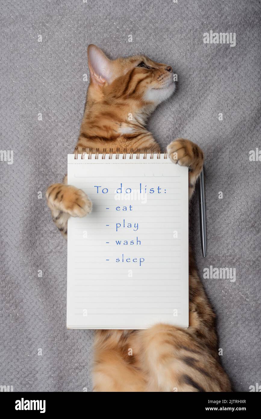 Blank tasks list hi-res stock photography and images - Alamy