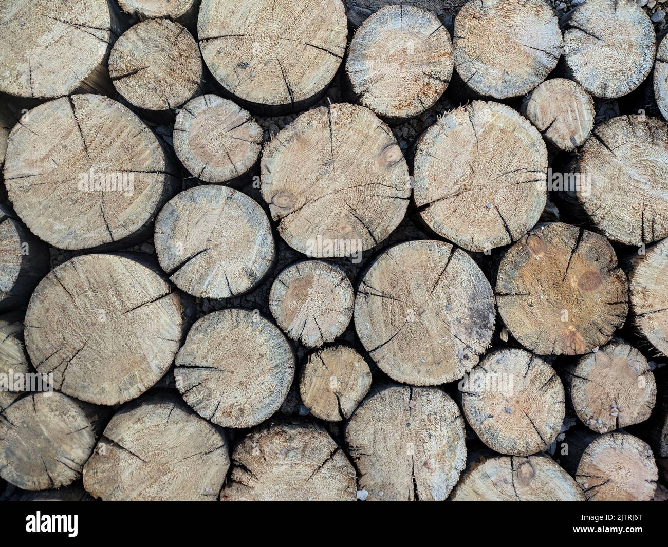 Felled tree trunks, Stack of Wood Stumps. Cutted firewood. Geometric ...