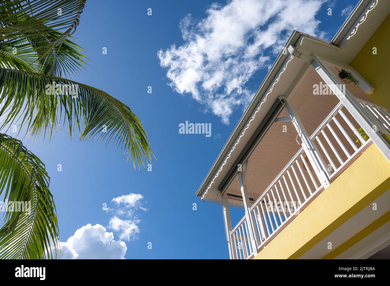 coconut tree with carribean house Stock Photo - Alamy