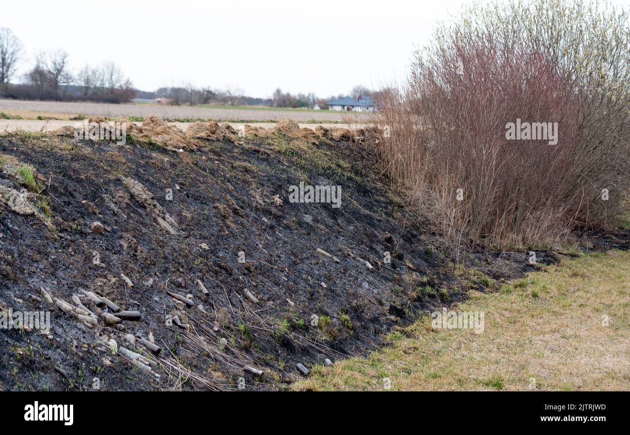 Burned-out grass. A site of fire after burning the grass in spring ...