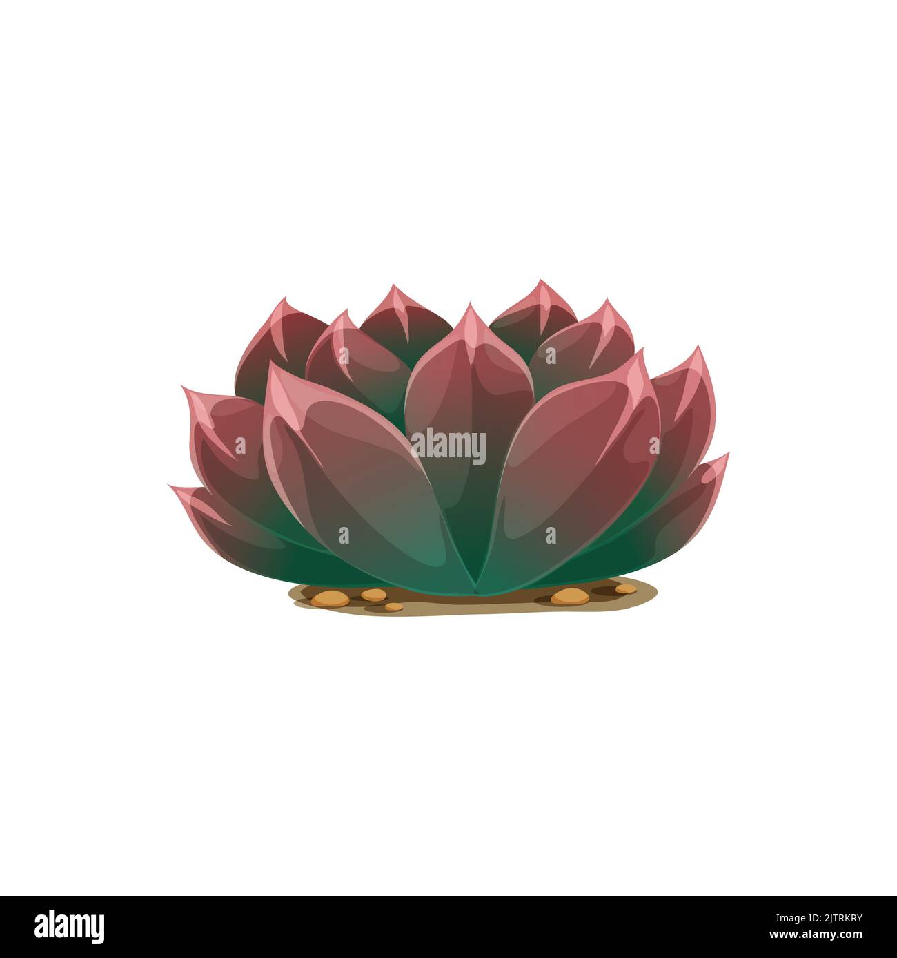 Plant pelmeri agave americana isolated cactus cartoon icon. Vector ...