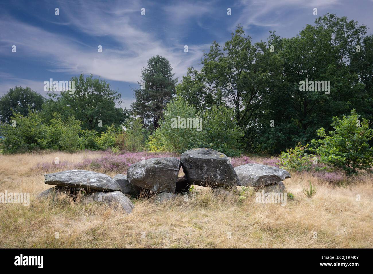 Dolmen D41, Emmen Noord municipality of Emmen in the Dutch province of ...