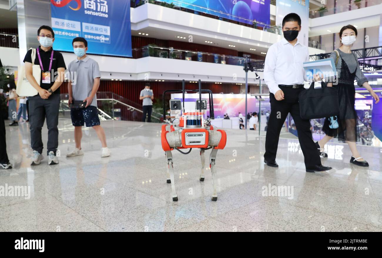 Shanghai. 1st Sep, 2022. An inspection robot for fire reconnaissance is ...