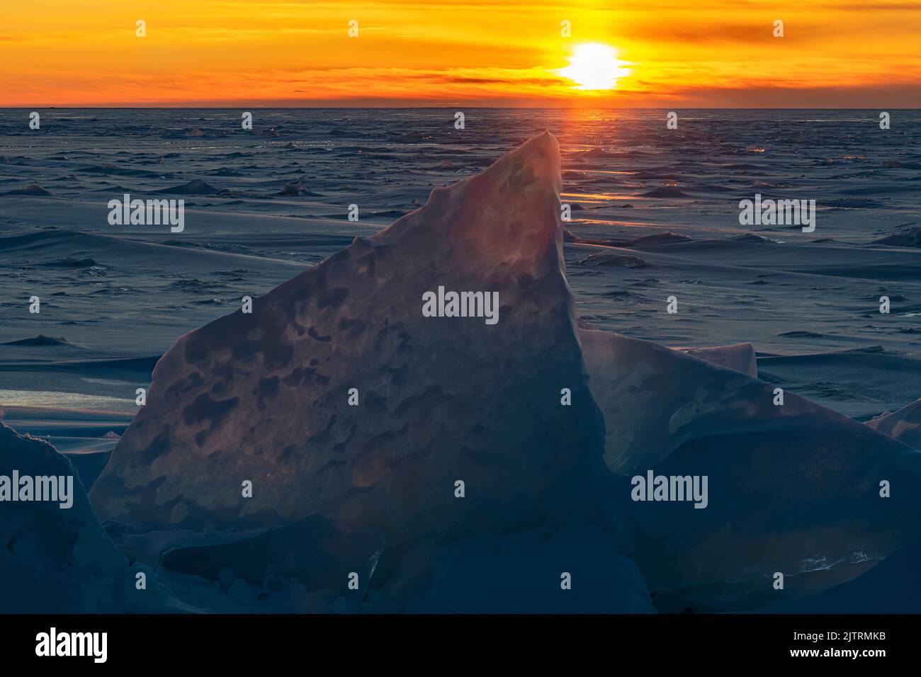 Fish frozen in ice block hi-res stock photography and images - Alamy