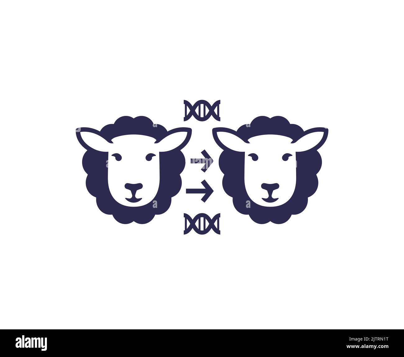 Sheep research Cut Out Stock Images & Pictures - Alamy