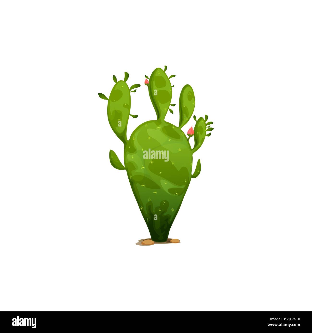 Green cactus succulent agave plant grows in desert isolated cartoon ...