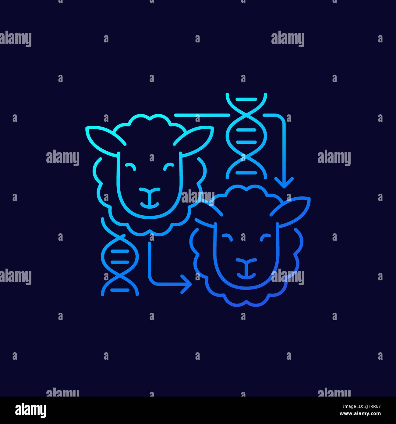 Cloning sheep Stock Vector Images - Alamy