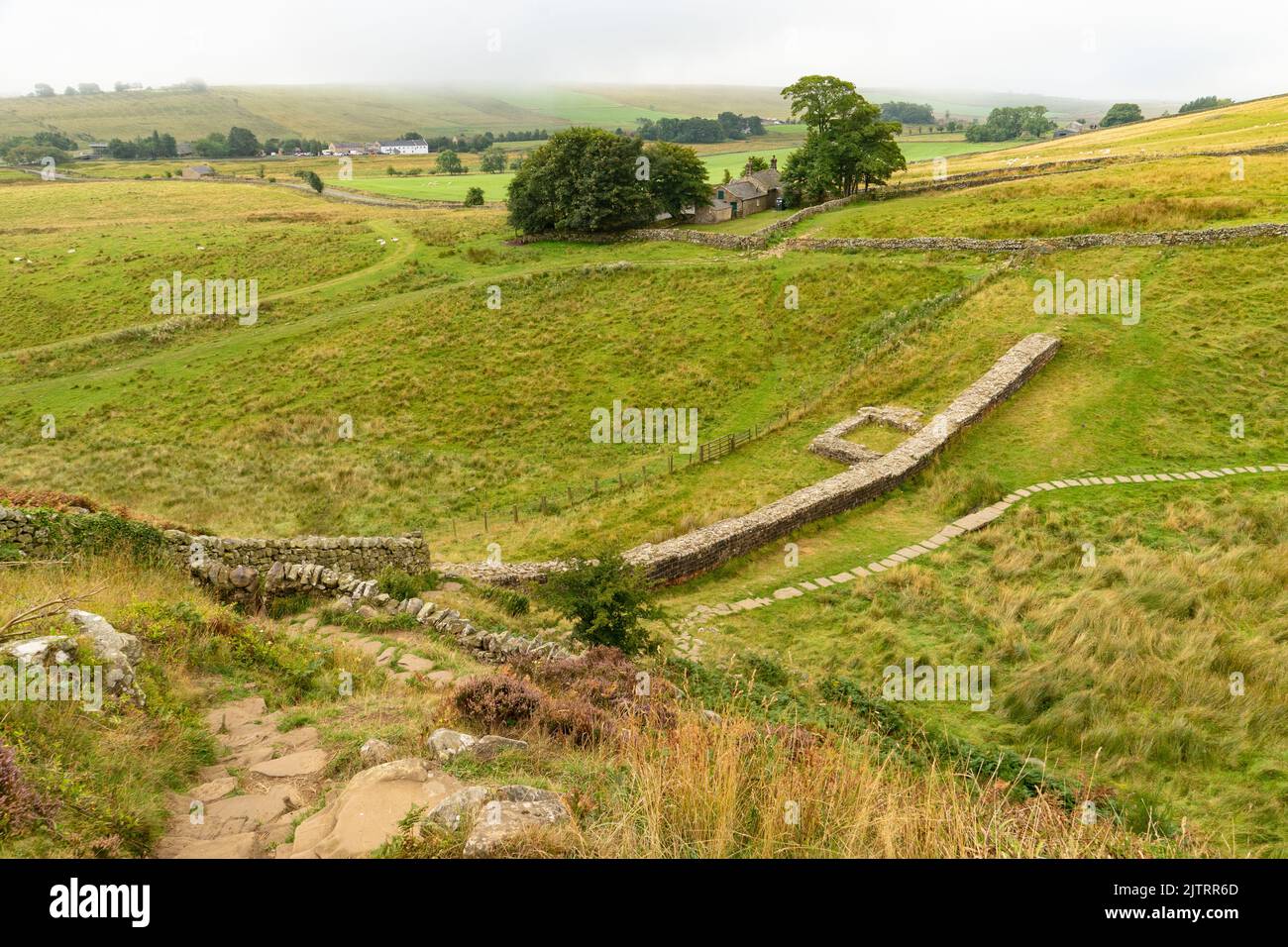 Hadrian's Wall trail near Steel Rigg in Northumberland Stock Photo - Alamy