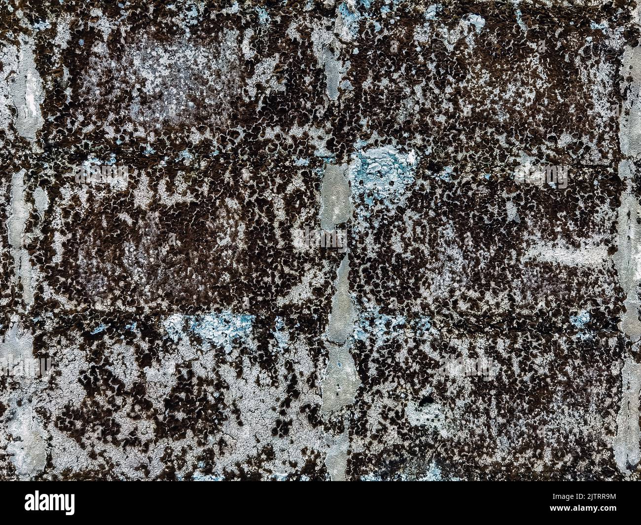 Dirty old eroded cracked plaster cement block fence. Concrete block ...