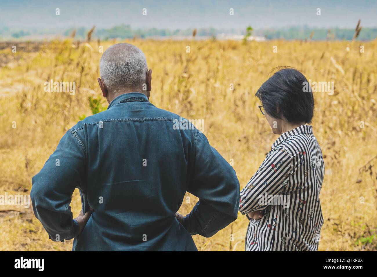 Back view of elderly couple farmers discuss soil quality for farming in field. Lovers ...