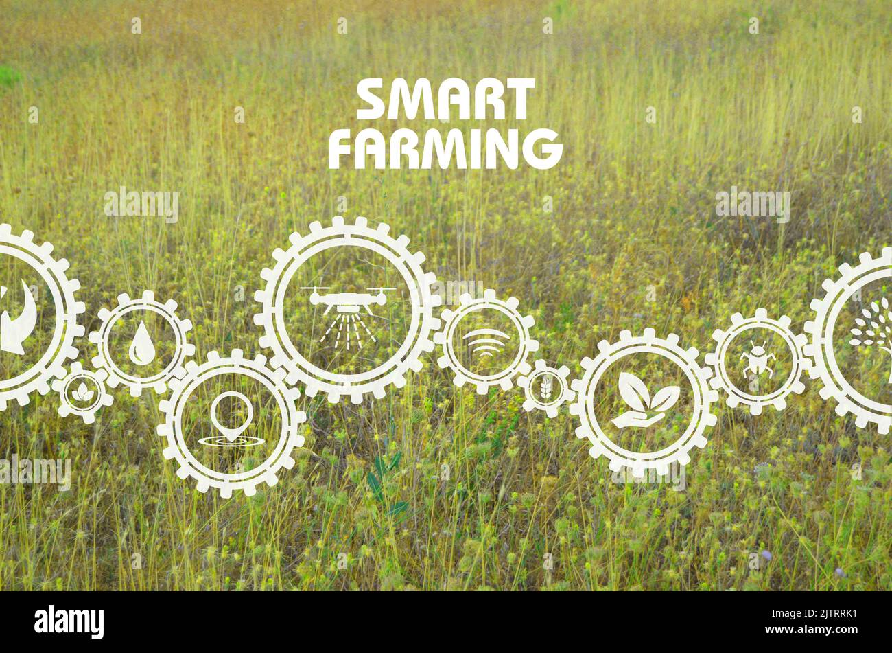 Smart farming network hi-res stock photography and images - Alamy